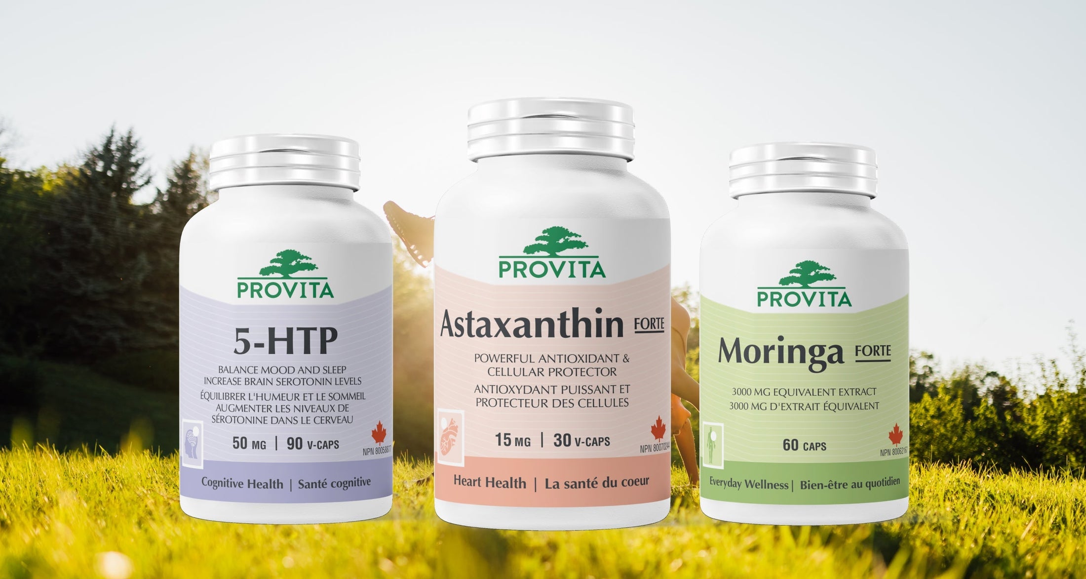 Provita & Ecotrend: Elevating Wellness Through Innovation and Quality ...